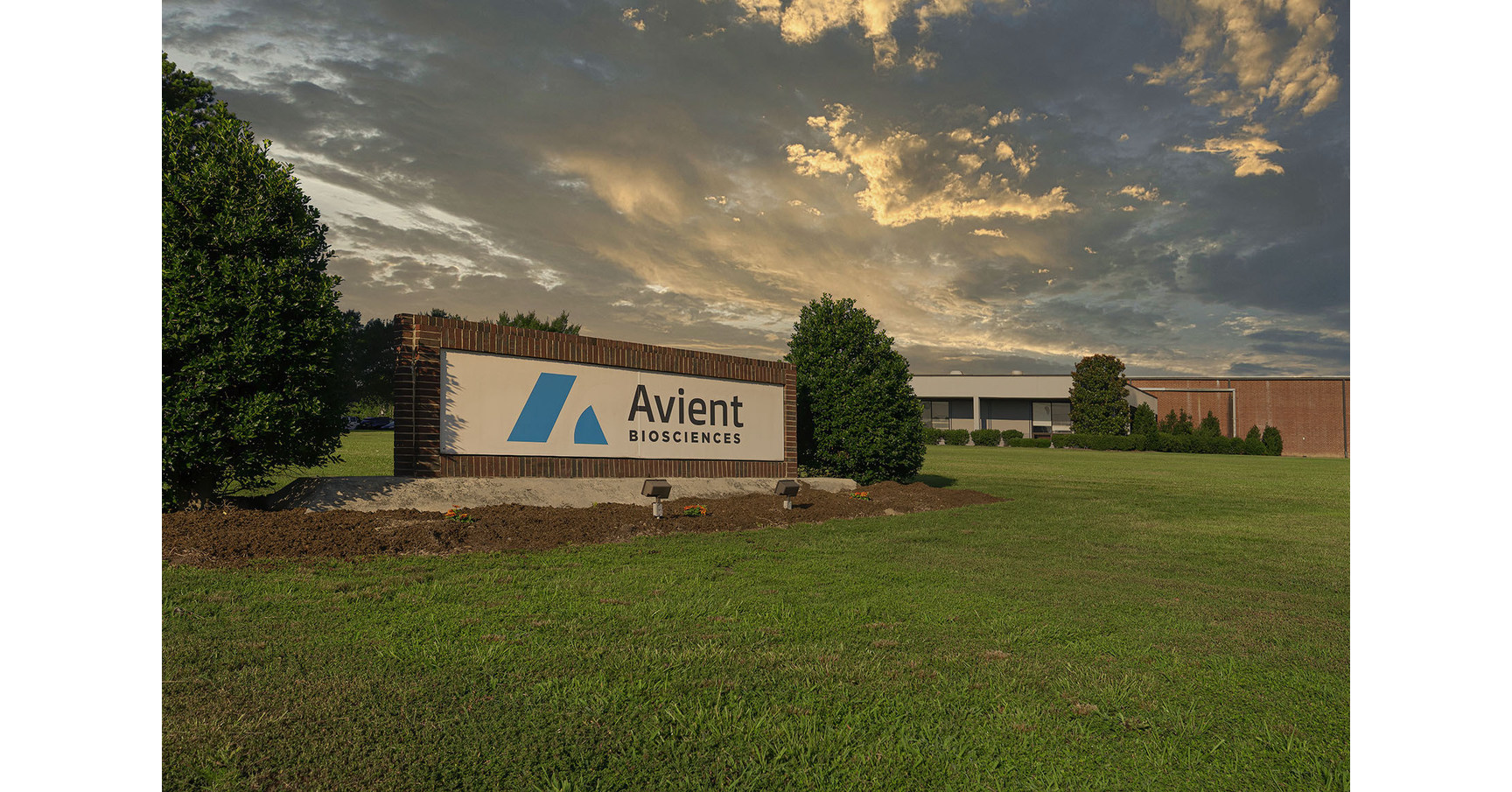 Avient Biosciences Launches Largest Cannabinoid Research and Extraction ...