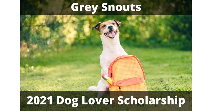 Grey Snouts Offering Scholarship for Dog Lovers