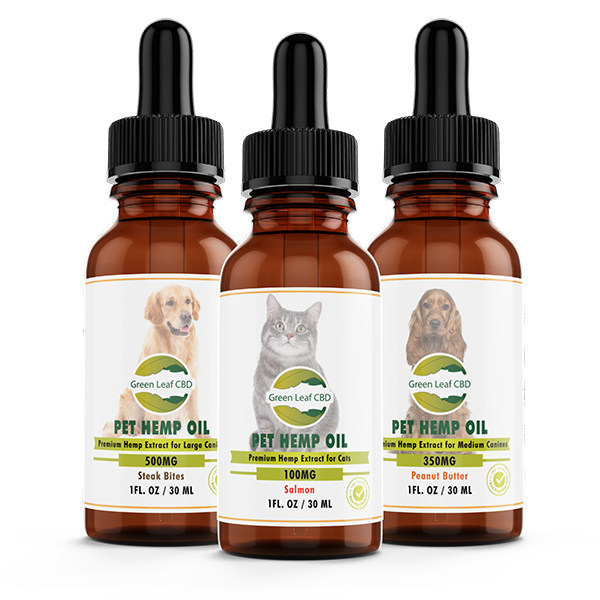 A South Carolina Company Launches CBD Treats That Promote Dog Health
