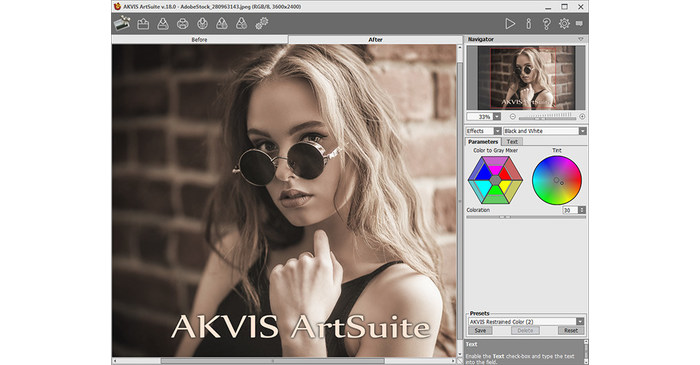 Create Artistic Images with AKVIS ArtSuite 18.0: Now with Text!