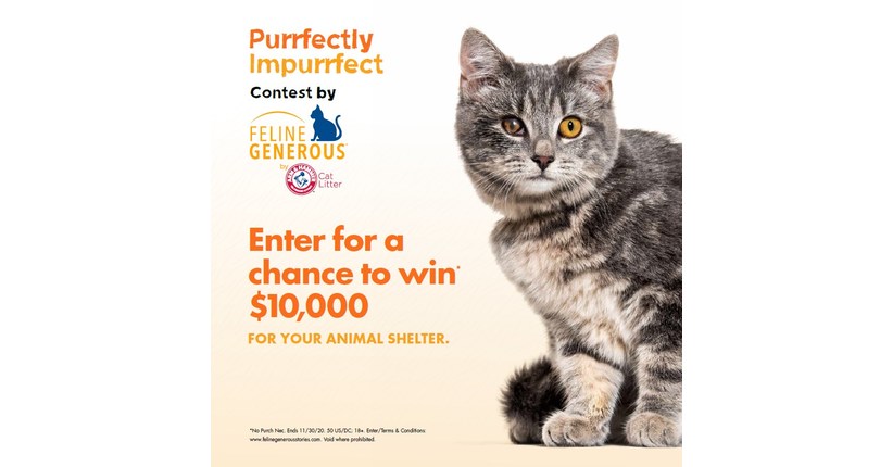 The Maker of ARM & HAMMER™ Cat Litter Kicks Off National Campaign to ...