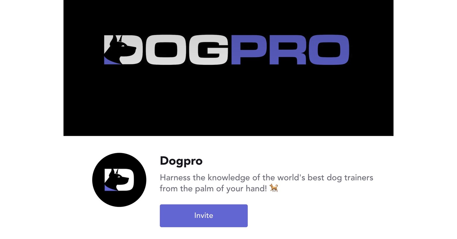 New App 'Dogpro' Eliminates Challenges Owners Face in Training Their ...