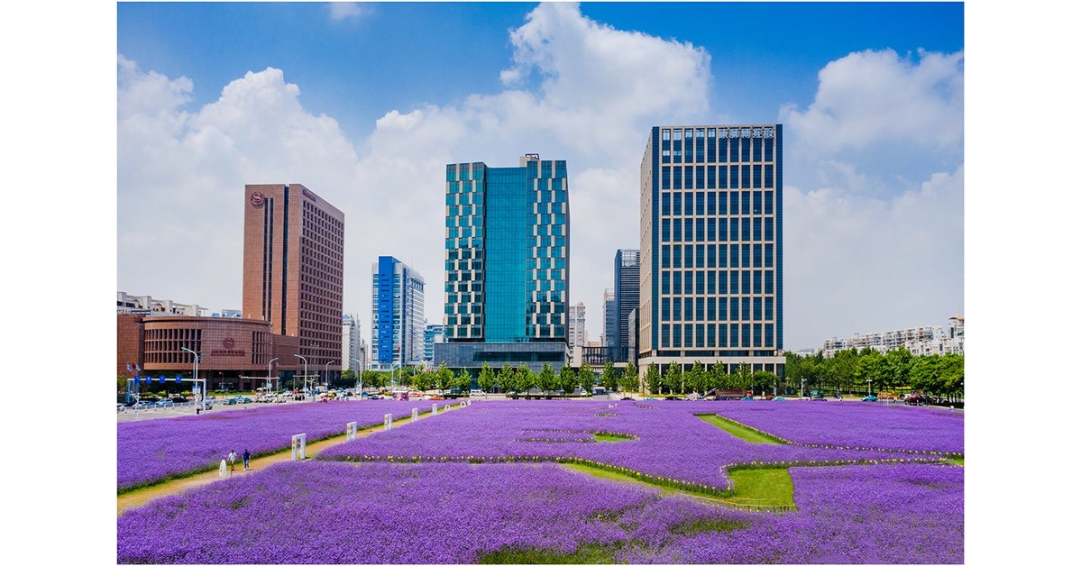 Tianjin's Binhai New Area models saline soil reclamation to world