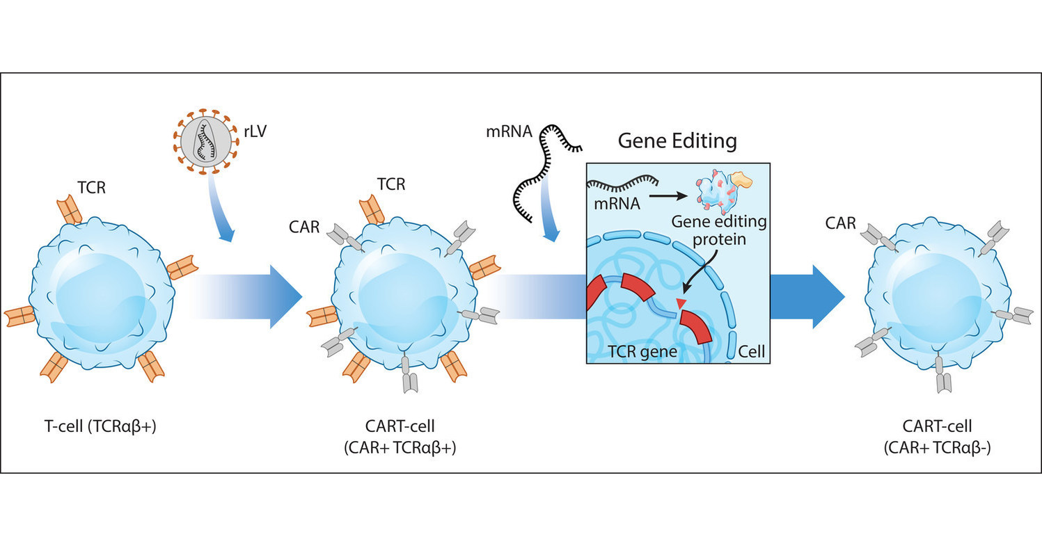 Factor Bioscience Granted Second U.S. Patent for mRNA Vectorization of ...