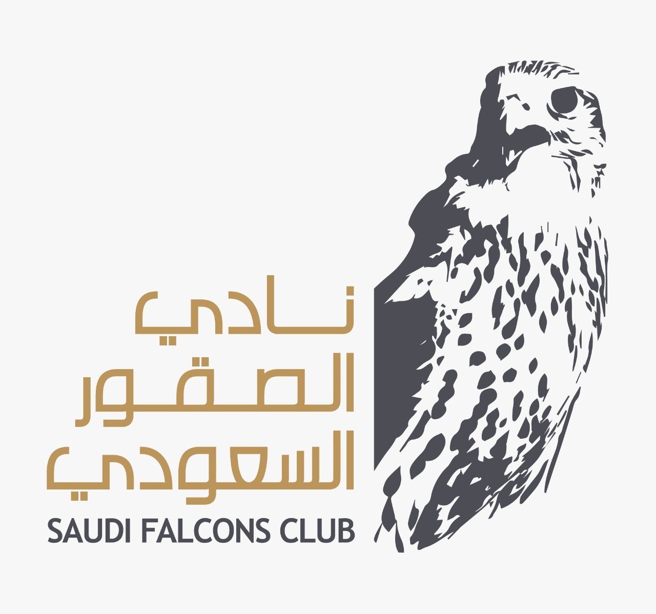 Protecting the Environment and Wildlife -- The Saudi Falcons Club ...