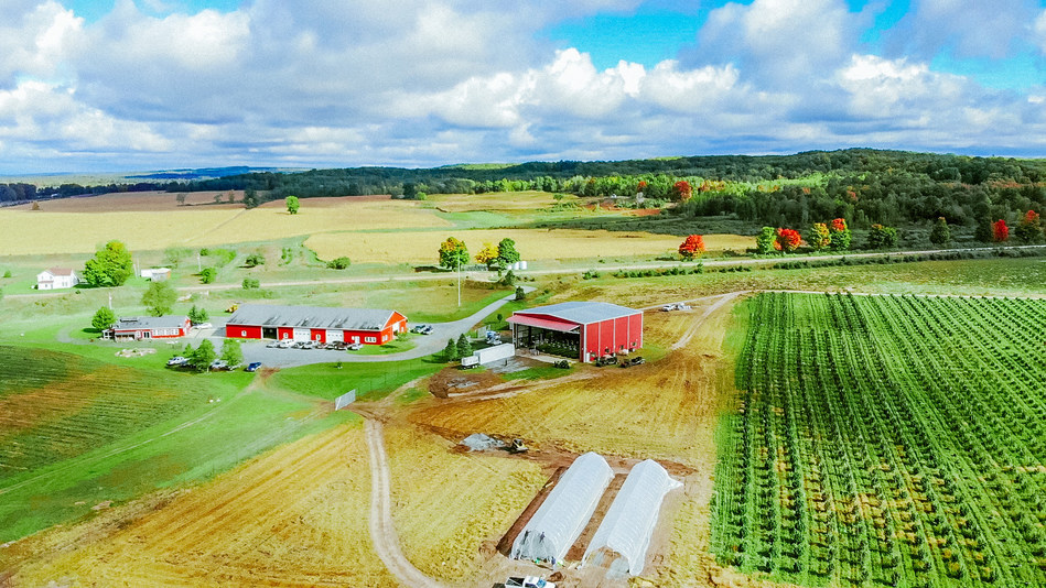 SKYMINT Brands™ Brings Michigan's Largest Sungrown Cannabis Farm To ...