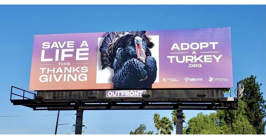 Peace 4 Animals & WAN Promote a Plant-Based Diet & Support Farm ...