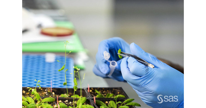 Crop science meets data science as SAS and Boragen partner to protect crops
