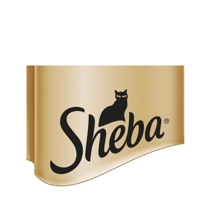 The SHEBA® Brand Launches New Docuseries Showcasing the Extraordinary ...