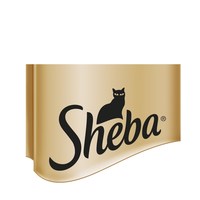 The SHEBA® Brand Launches New Docuseries Showcasing the Extraordinary ...