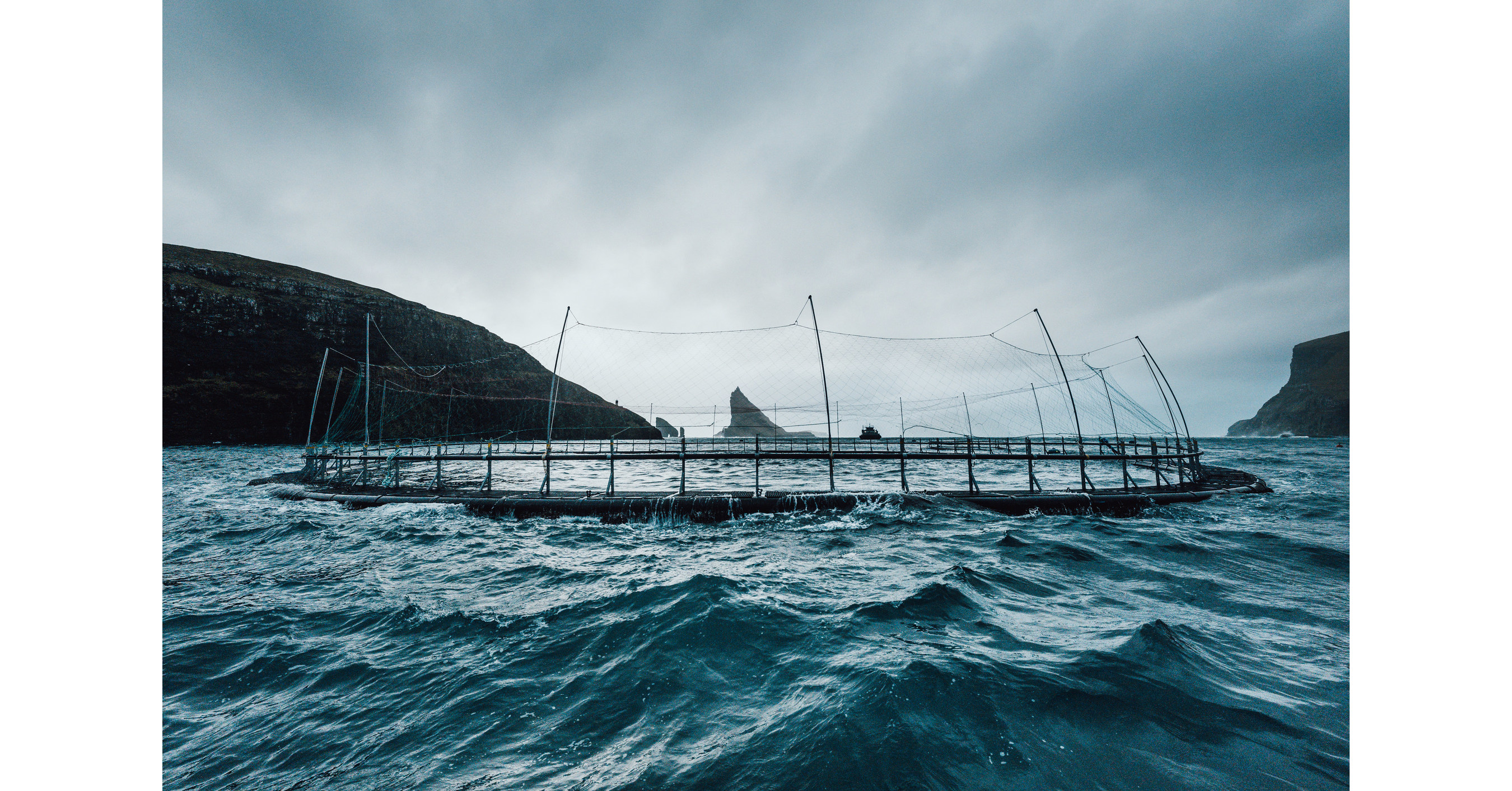 Atlantic Salmon Farmer, Hiddenfjord, Becomes the Industry's First to ...