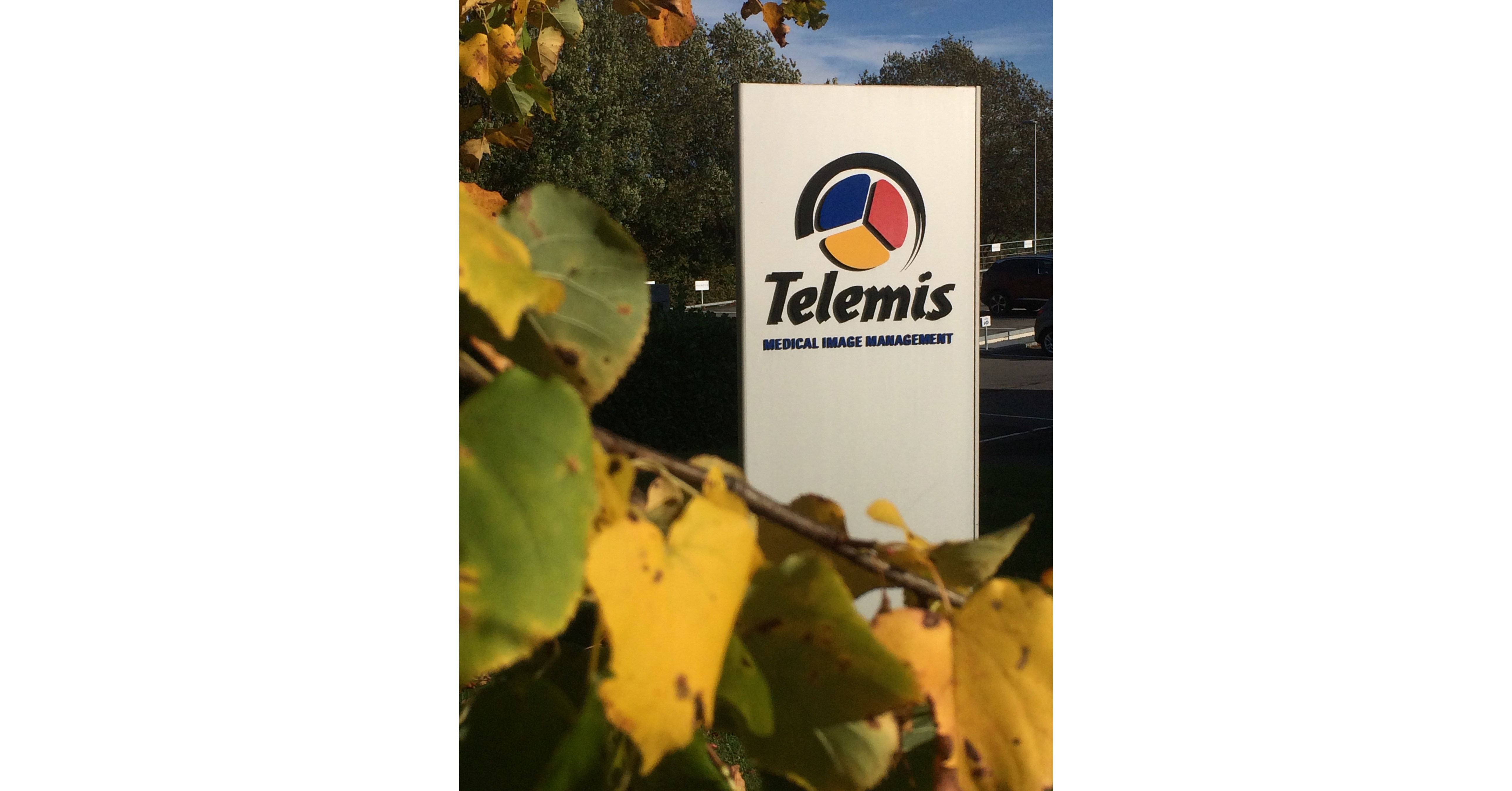 Telemis' annual revenue figures keep climbing despite challenging ...