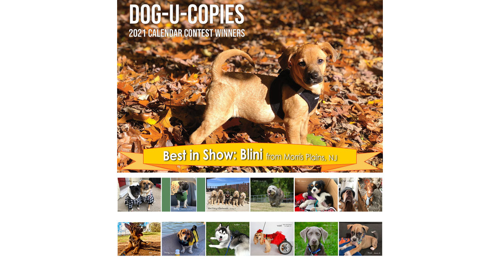 Dog-U-Copies: Dog Photo Contest Winners Find Fame and Free Printing