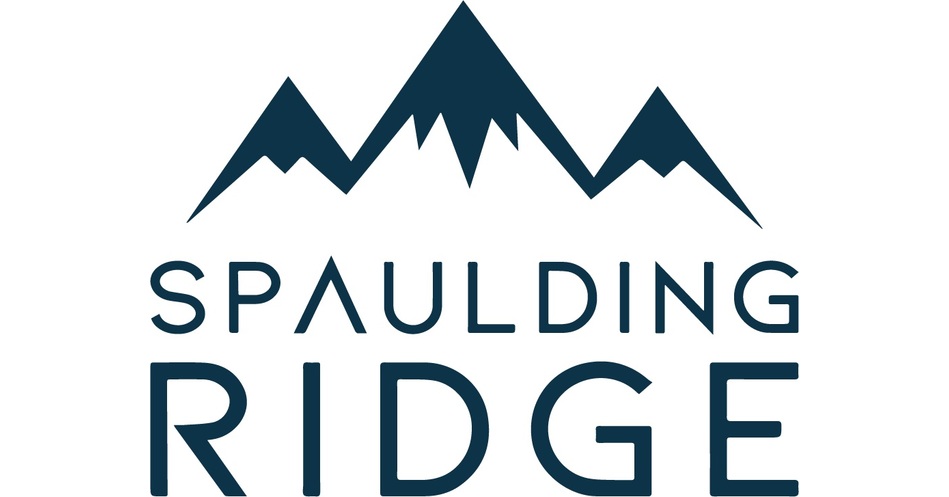 Spaulding Ridge se rozšiřuje o společnost Silvr Lining Group a dále na ...