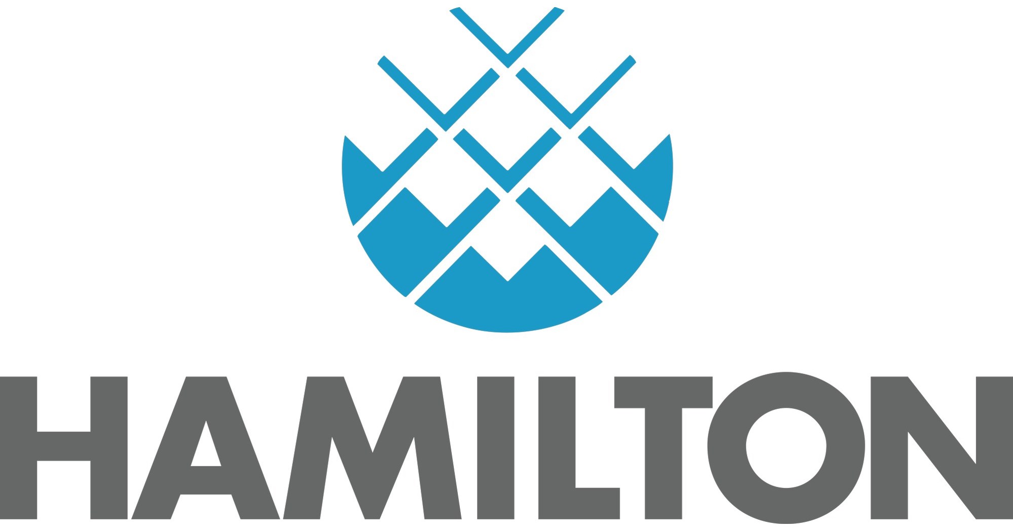 Hamilton launches COVID-19 vaccine admin, pharmacy support initiative