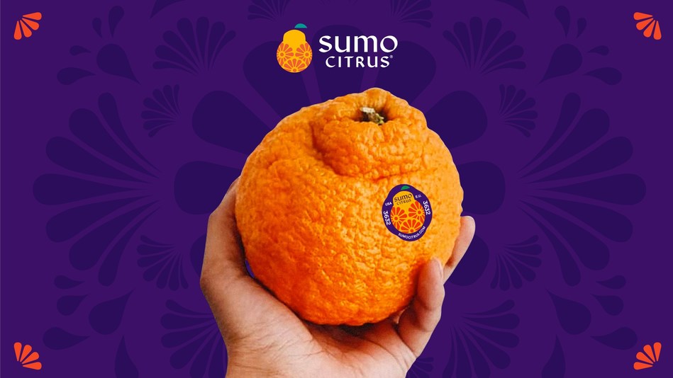 The Hype Is Real - Sumo Citrus®, The World's Most Loved Fruit Returns ...