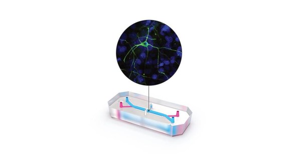 Emulate Unveils Brain-Chip to Enhance Neuroinflammatory Disease ...