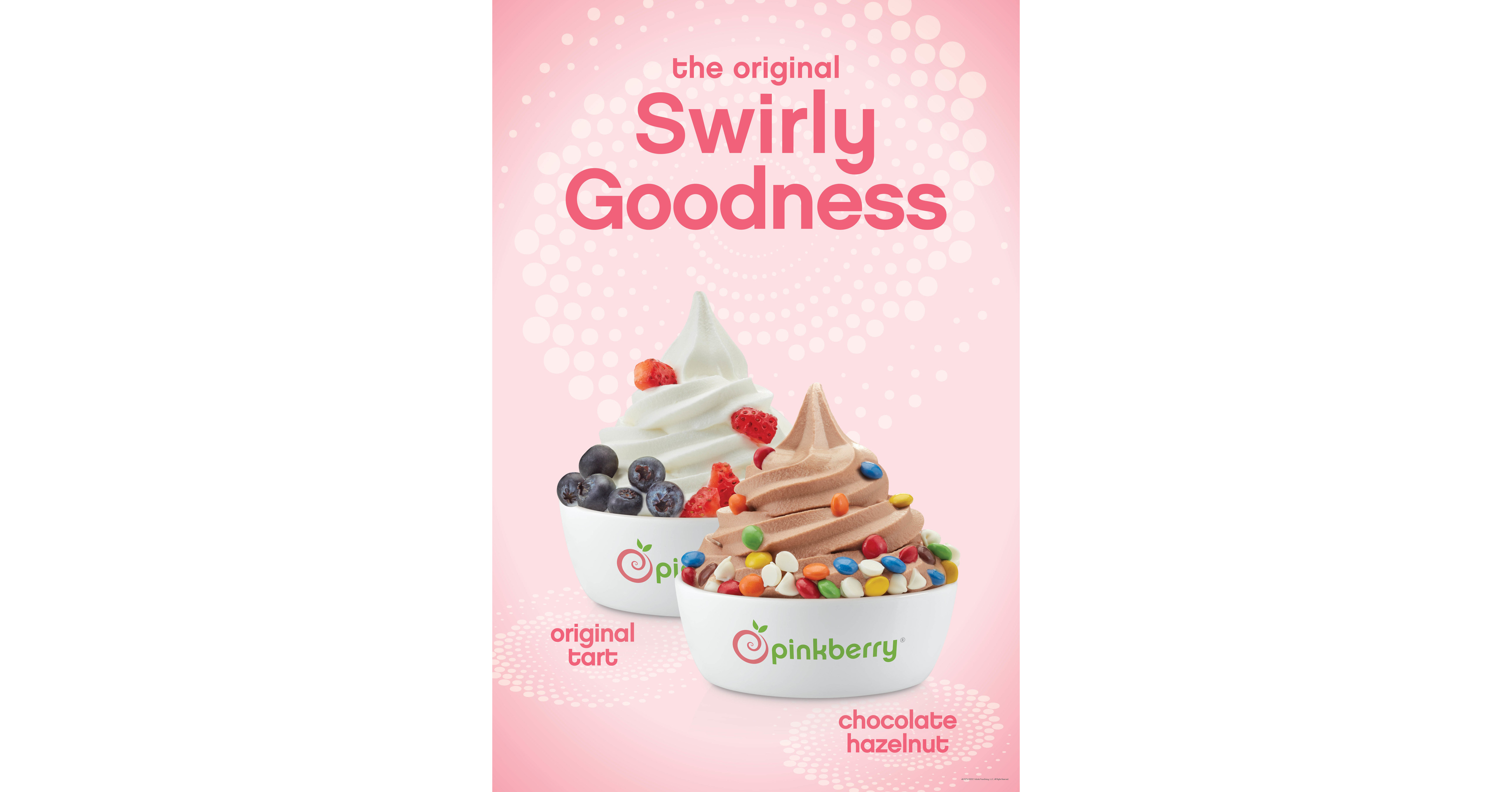 Pinkberry Chocolate Frozen Yogurt Recipe | Besto Blog