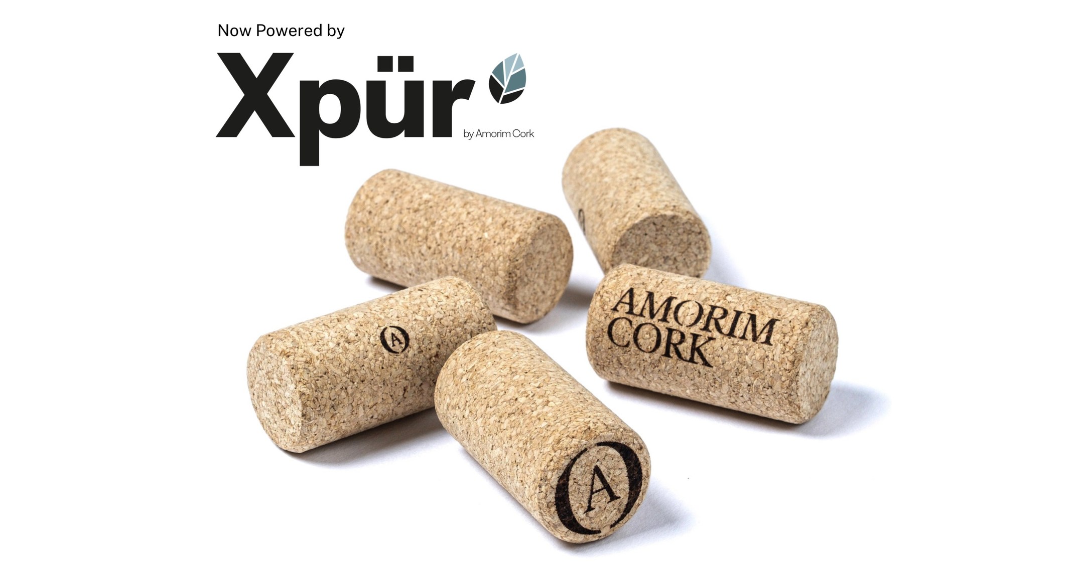 Amorim reveals breakthrough technologies to eradicate detectable TCA