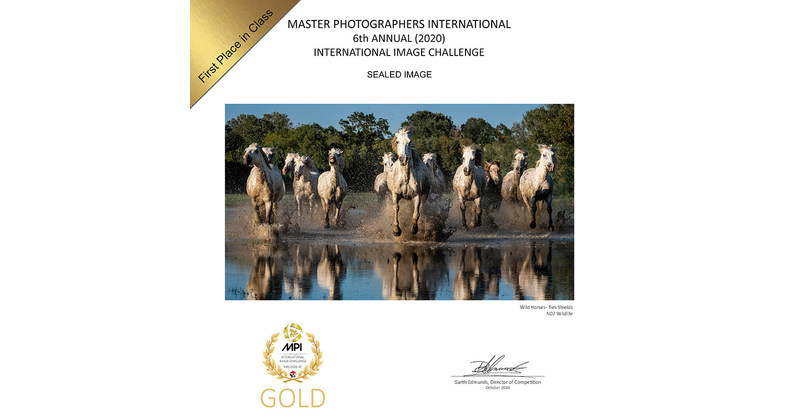 Photography Academy Founder Tim Shields Wins Prestigious Photo Awards