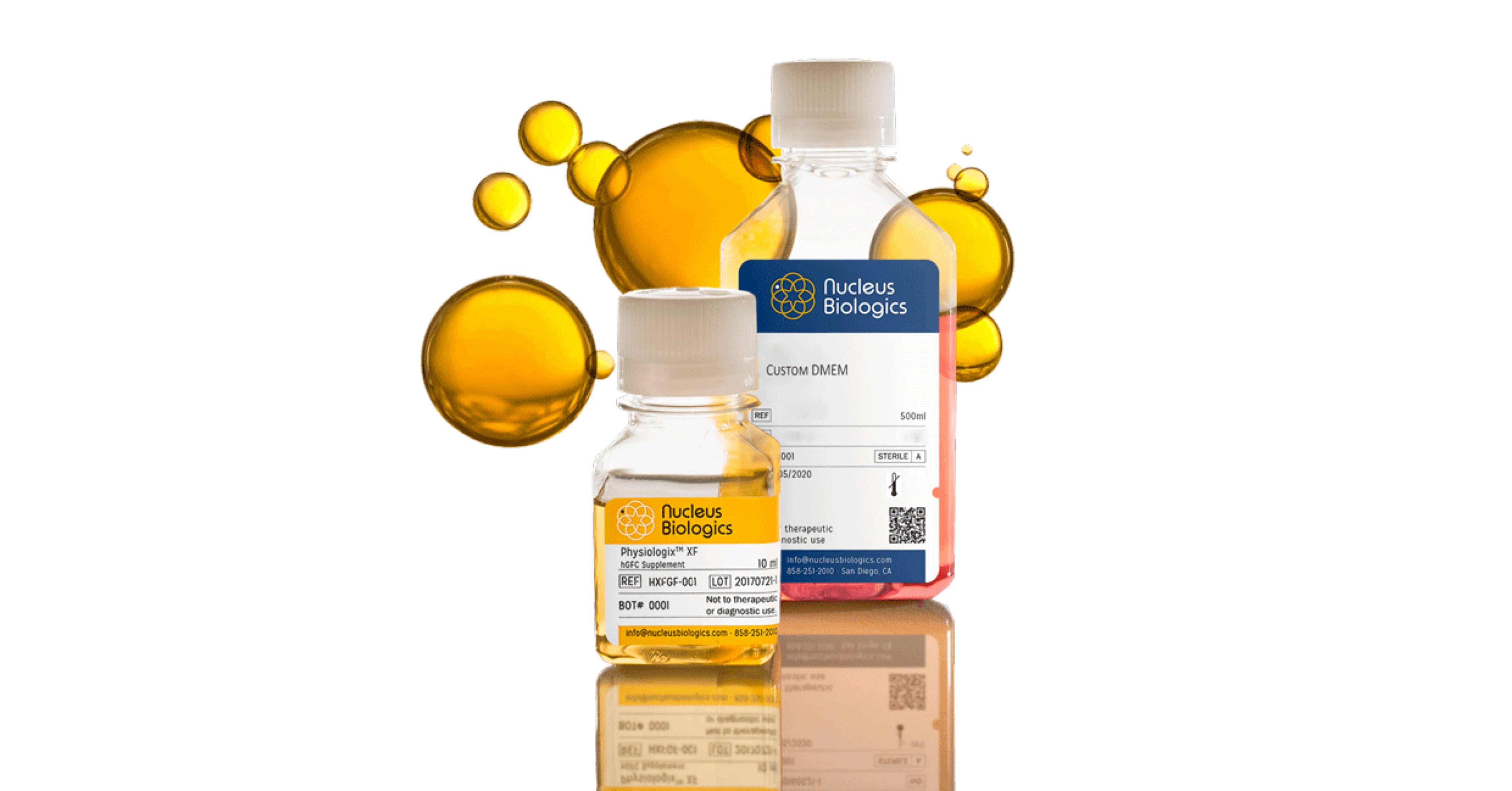 Cognate BioServices and Nucleus Biologics announce partnership in Cell ...