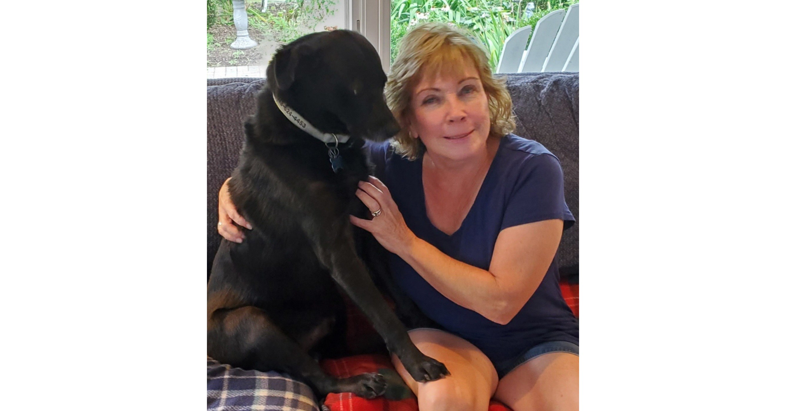 Website Connects Past and Present Owners of Rescue Pets for Free