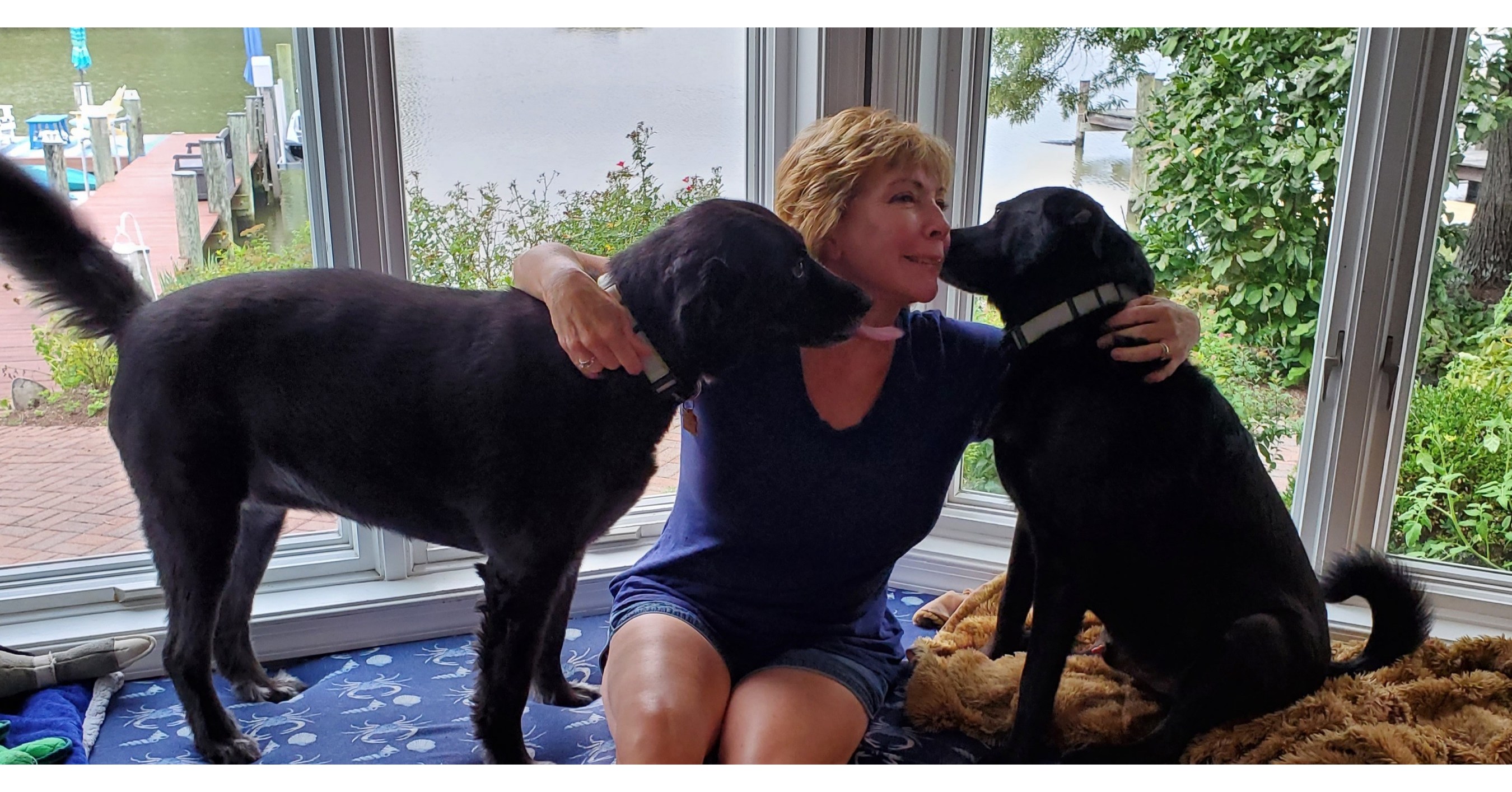 Website Connects Past and Present Owners of Rescue Pets for Free