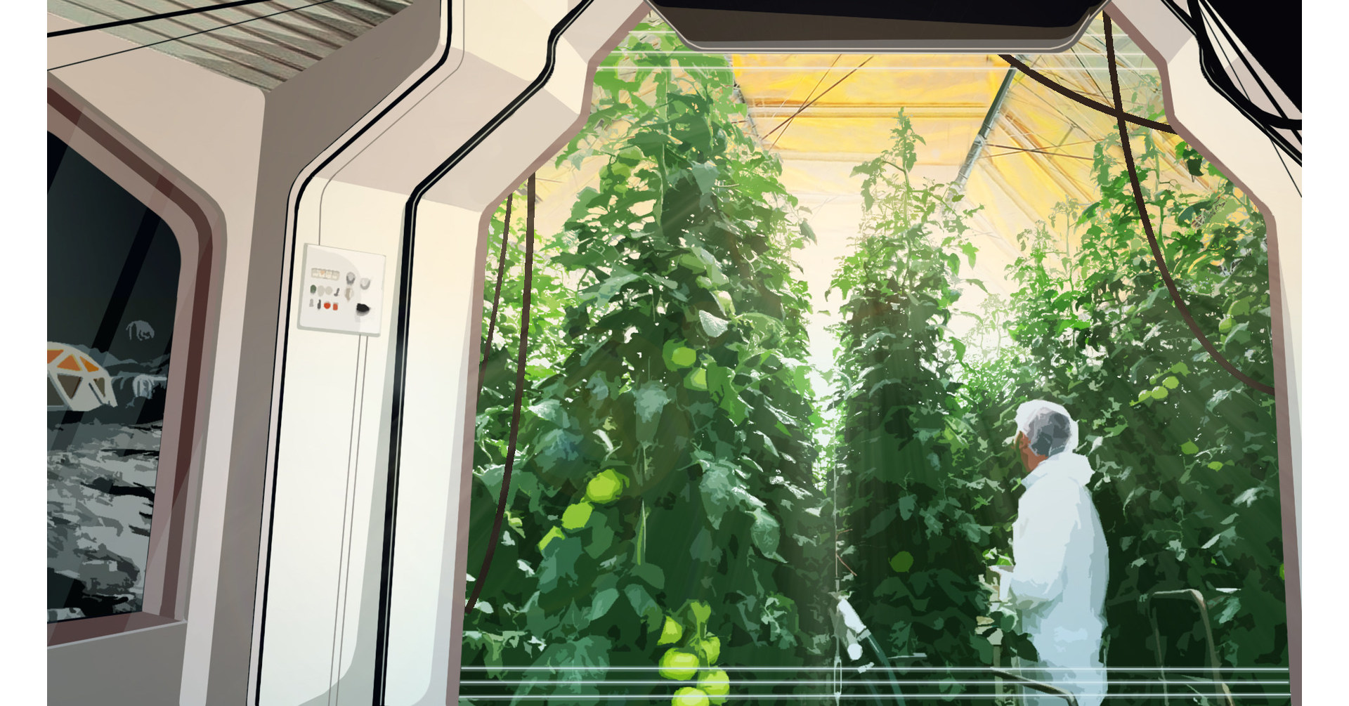 UbiQD Publishes Initial Results of a NASA-Funded Agriculture Study ...