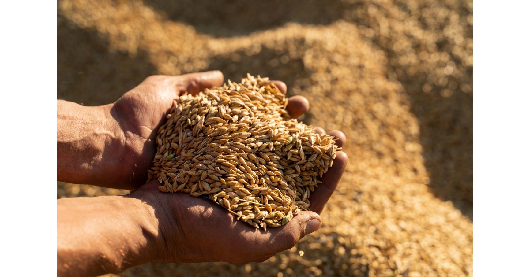 Univar Solutions Strengthens Food Ingredient Offerings through ...