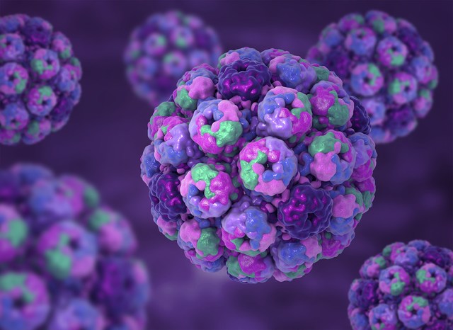 Roche Receives First FDA Clearance For Urine Sample Type For BK Virus Roche Receives First FDA Clearance For Urine Sample Type For BK Virus