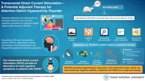 Transcranial Stimulation: The "Current" Treatment for Attention-Deficit ...