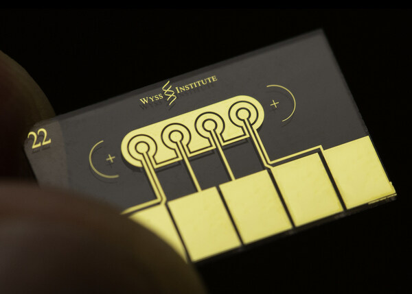 Harvard's Wyss Institute collaborates with GBS Inc. on the Wyss' eRapid ...