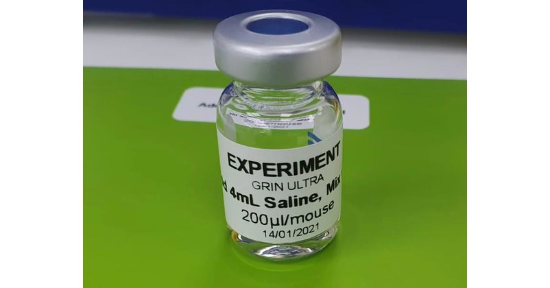 Cannabics Pharmaceuticals' in-vivo Tumor Inhibitory Effect Study ...