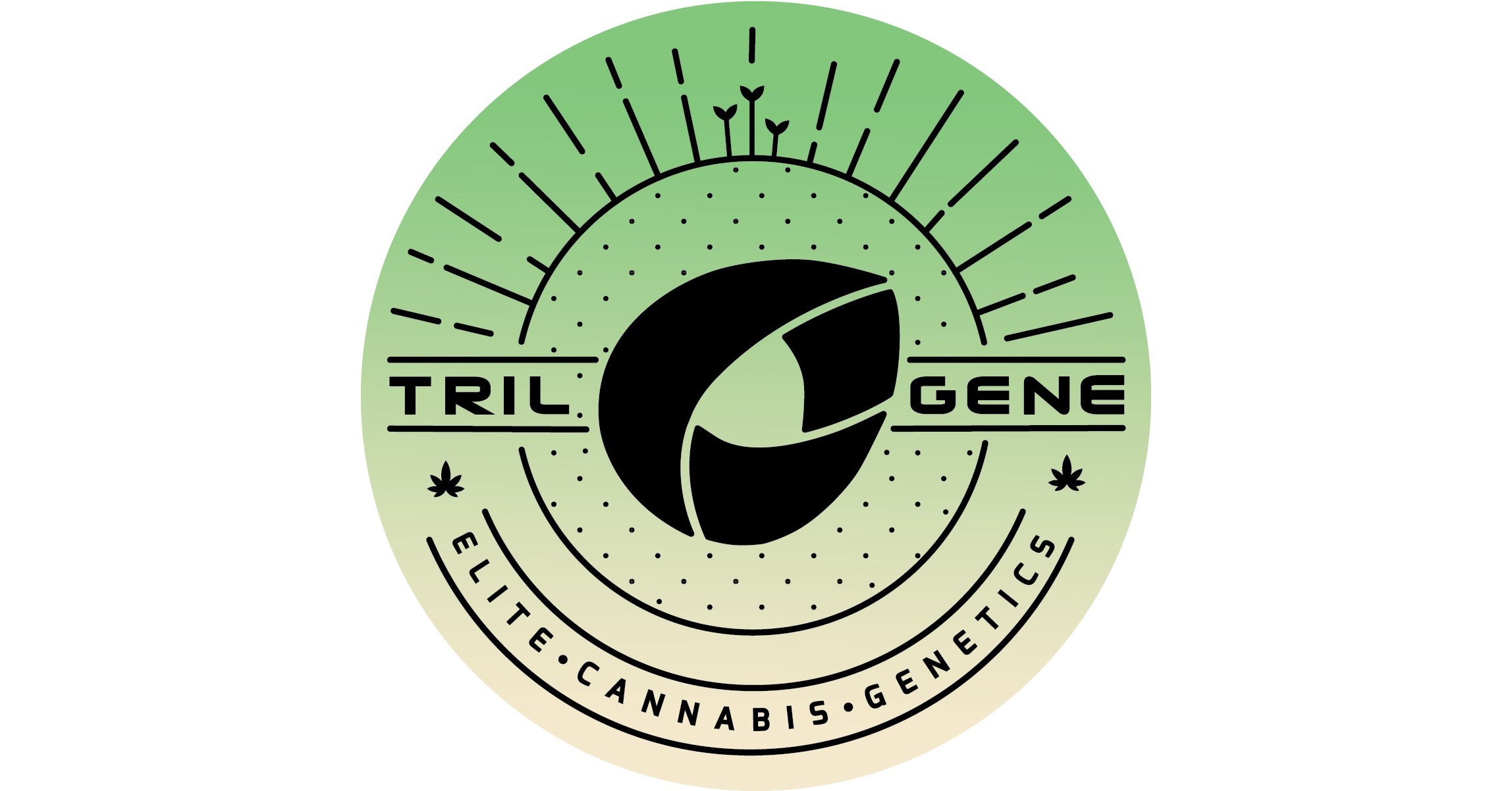 Puro Partners with Trilogene for Revolutionary Triploid Genetics in ...