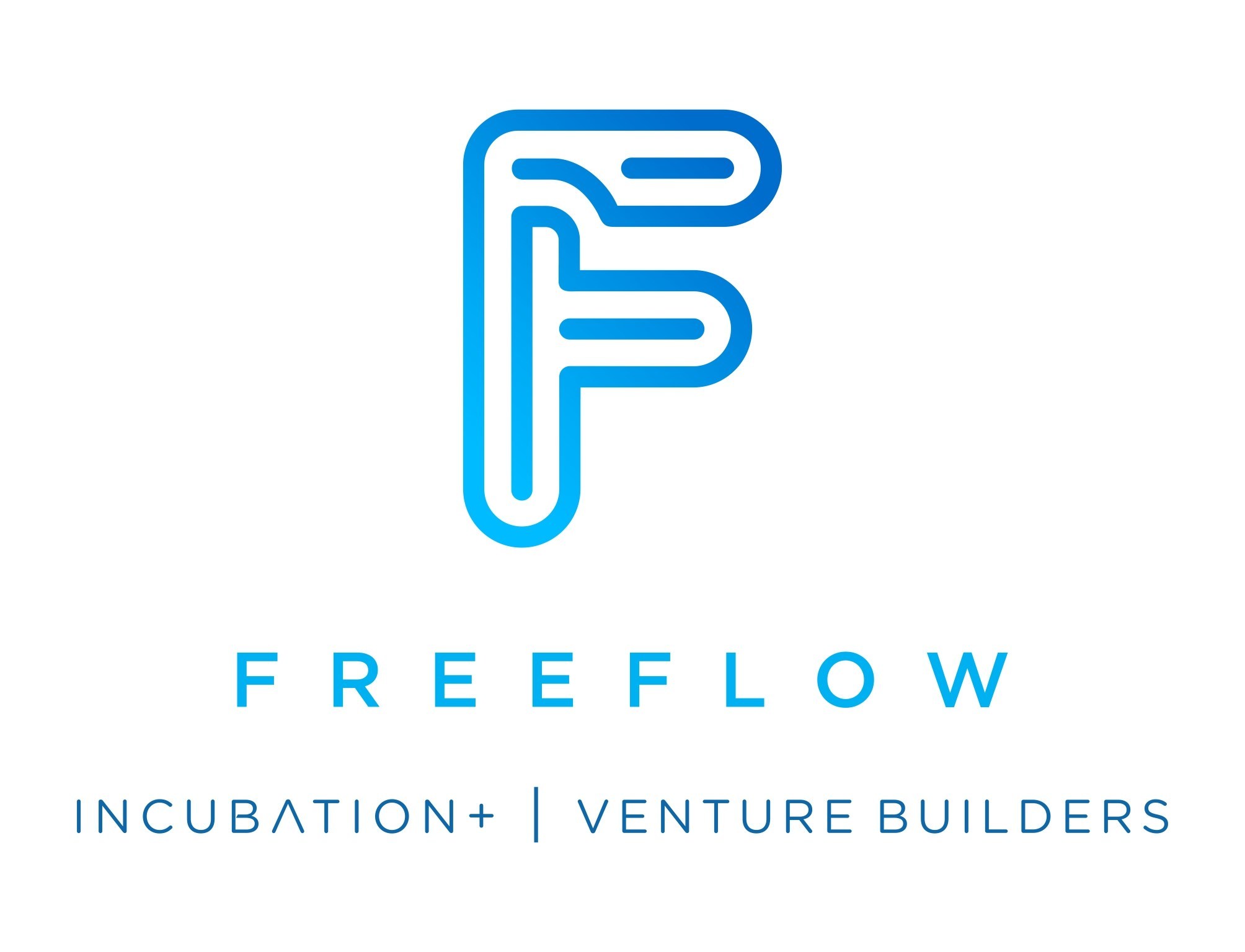 Flow Pitch - The Fund Flow Summit of the East