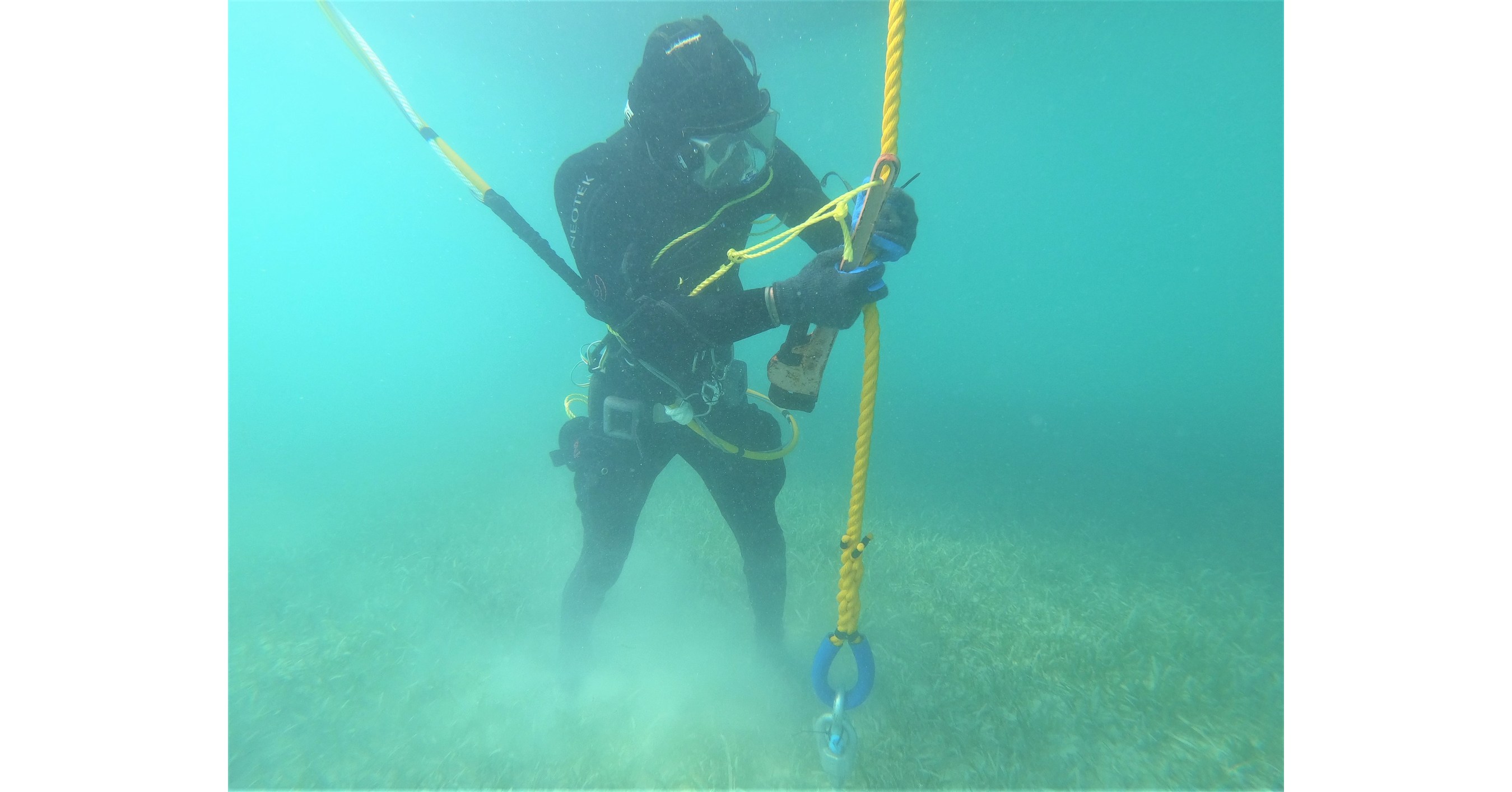 Sea & Shoreline Is Protecting Coral Reef Habitats With Buoy ...