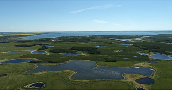 Government of Canada protecting species at risk habitat in the greater ...
