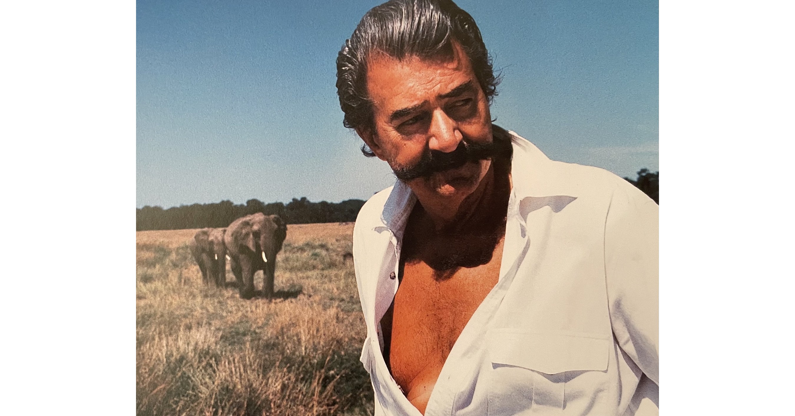 The Largest Retrospective of LeRoy Neiman's Work Ever; this Exhibit ...