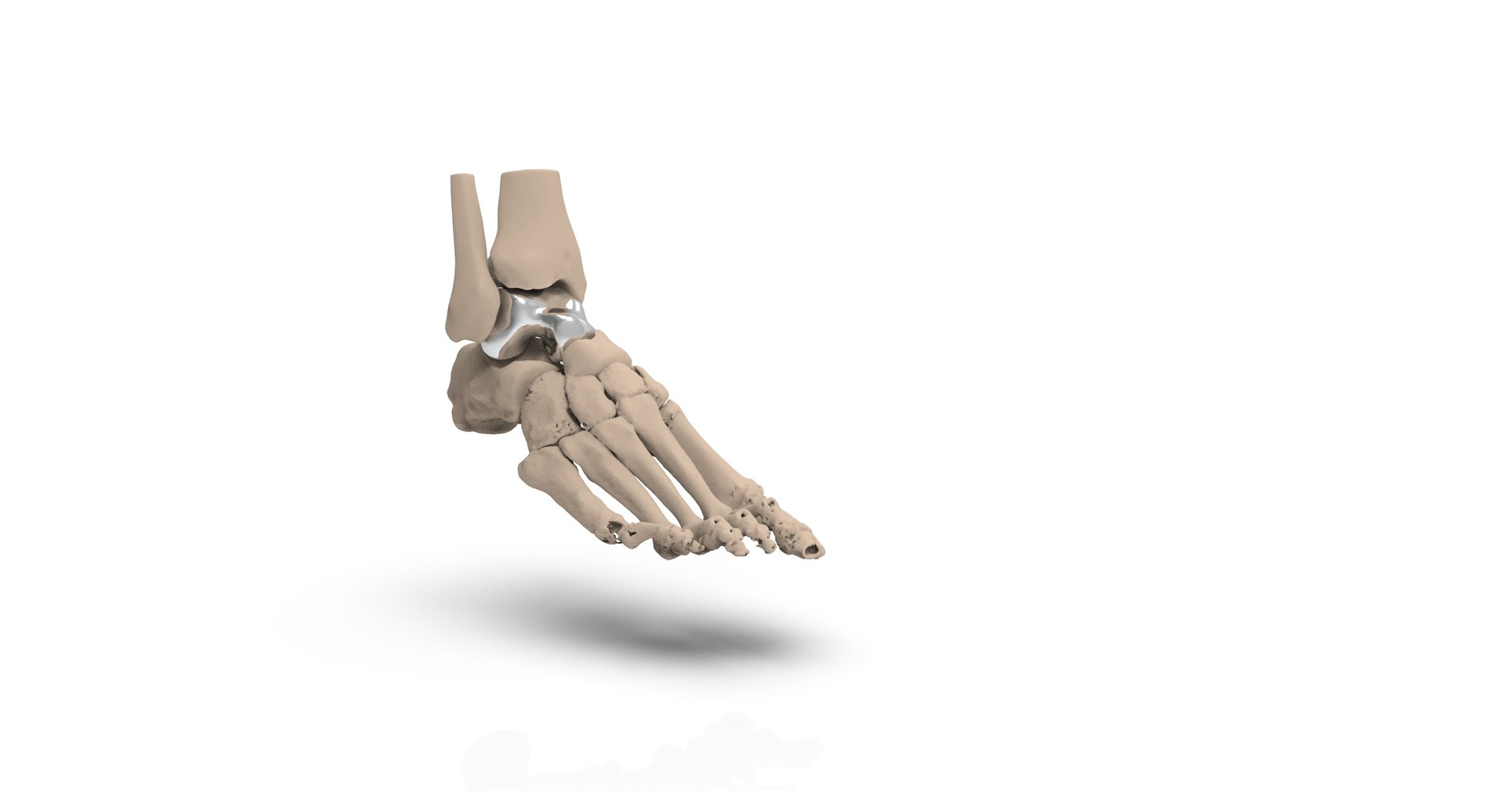 Additive Orthopaedics® Announces New Patient Educational Website www ...