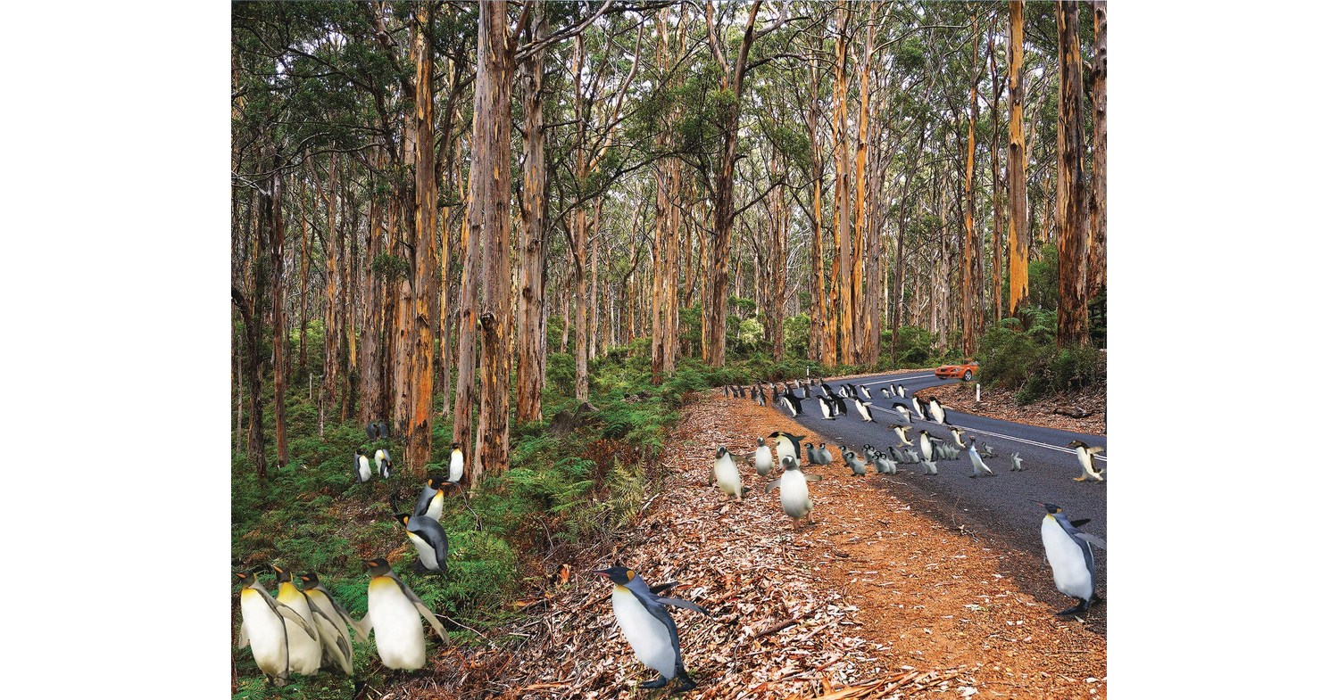 Fourteen Animals Around the World are on a Journey for Survival When ...