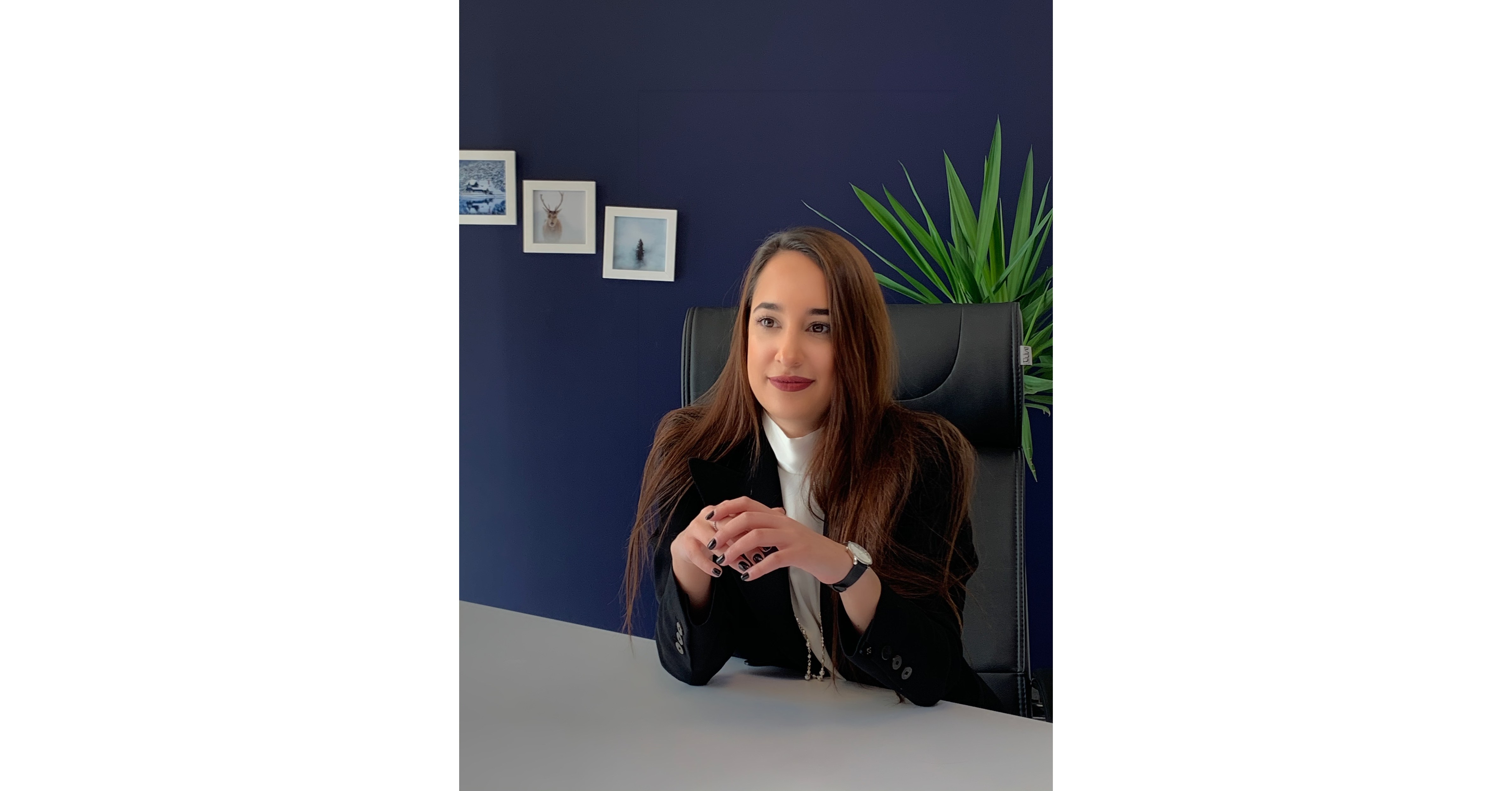 What is Organizational Structure? Mitra Ferdows Answers in Her New Article