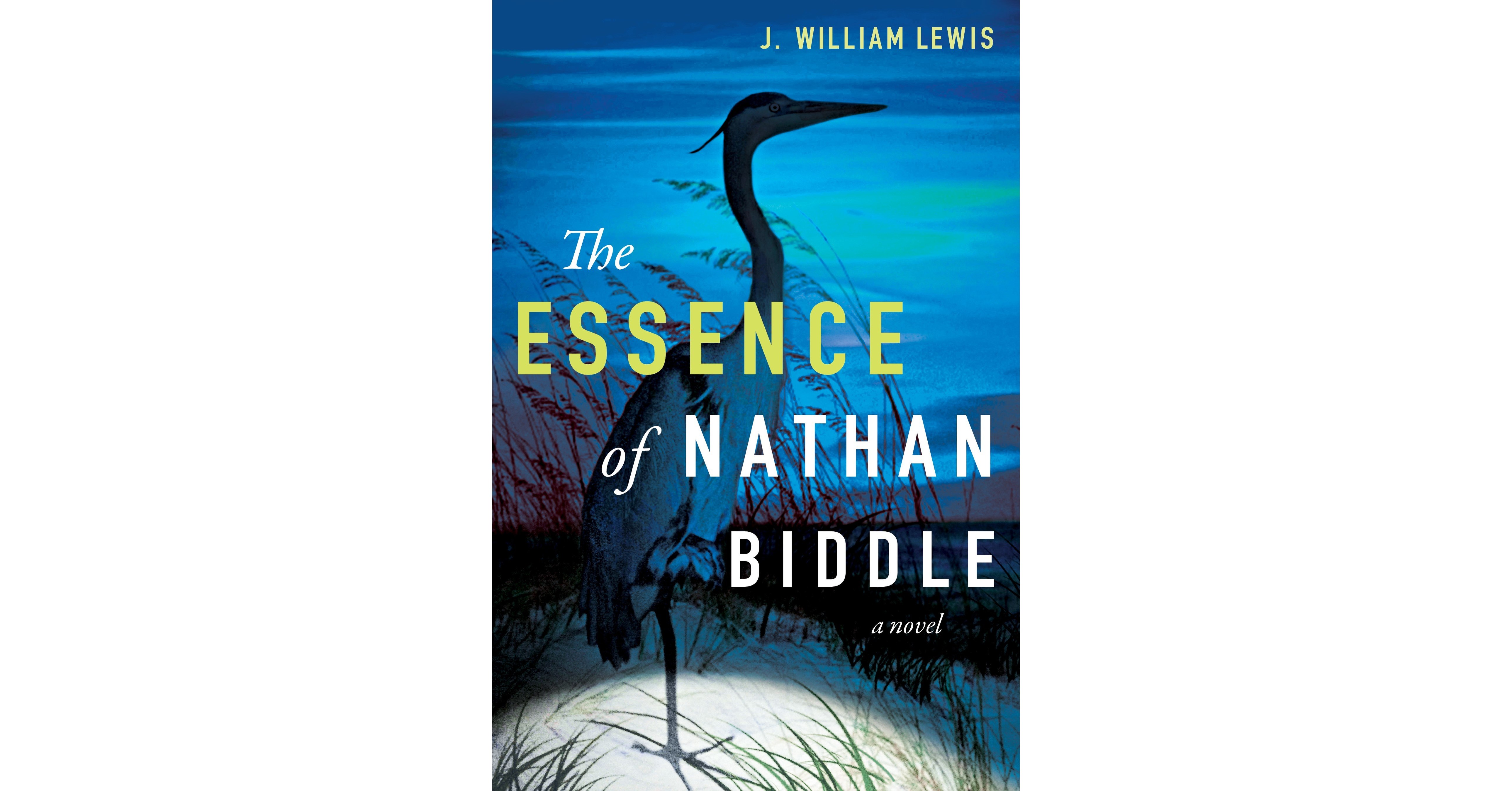 Debut Novel, The Essence Of Nathan Biddle, Earns High Critical Acclaim ...