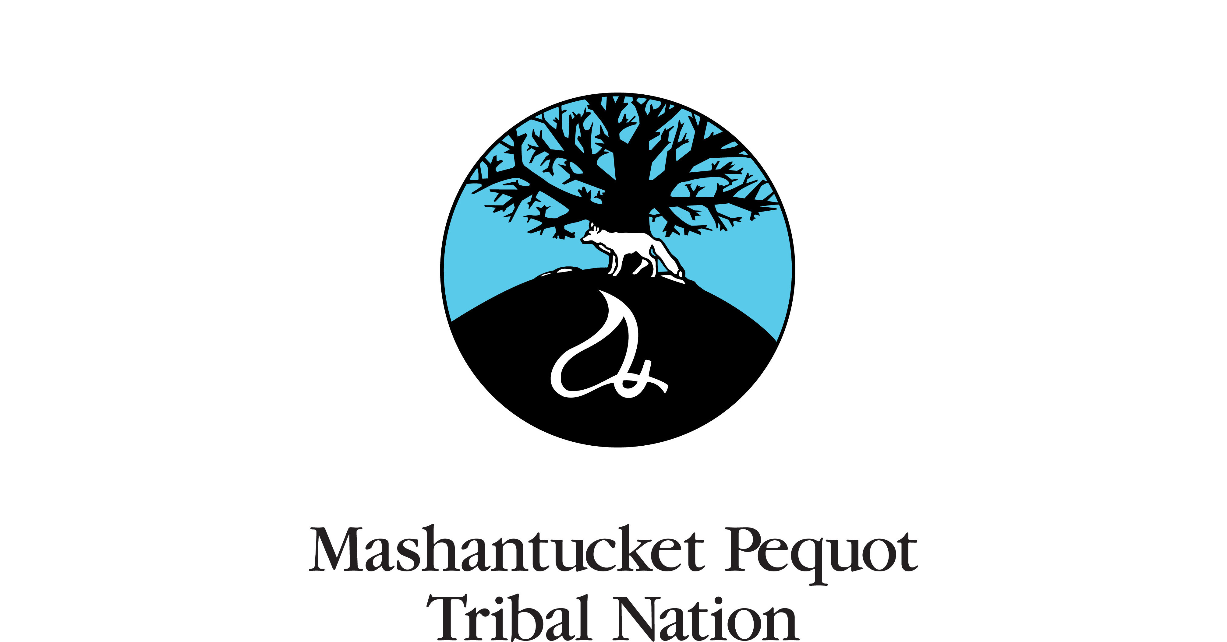 Jason Guyot Named President and Chief Executive Officer of Foxwoods ...