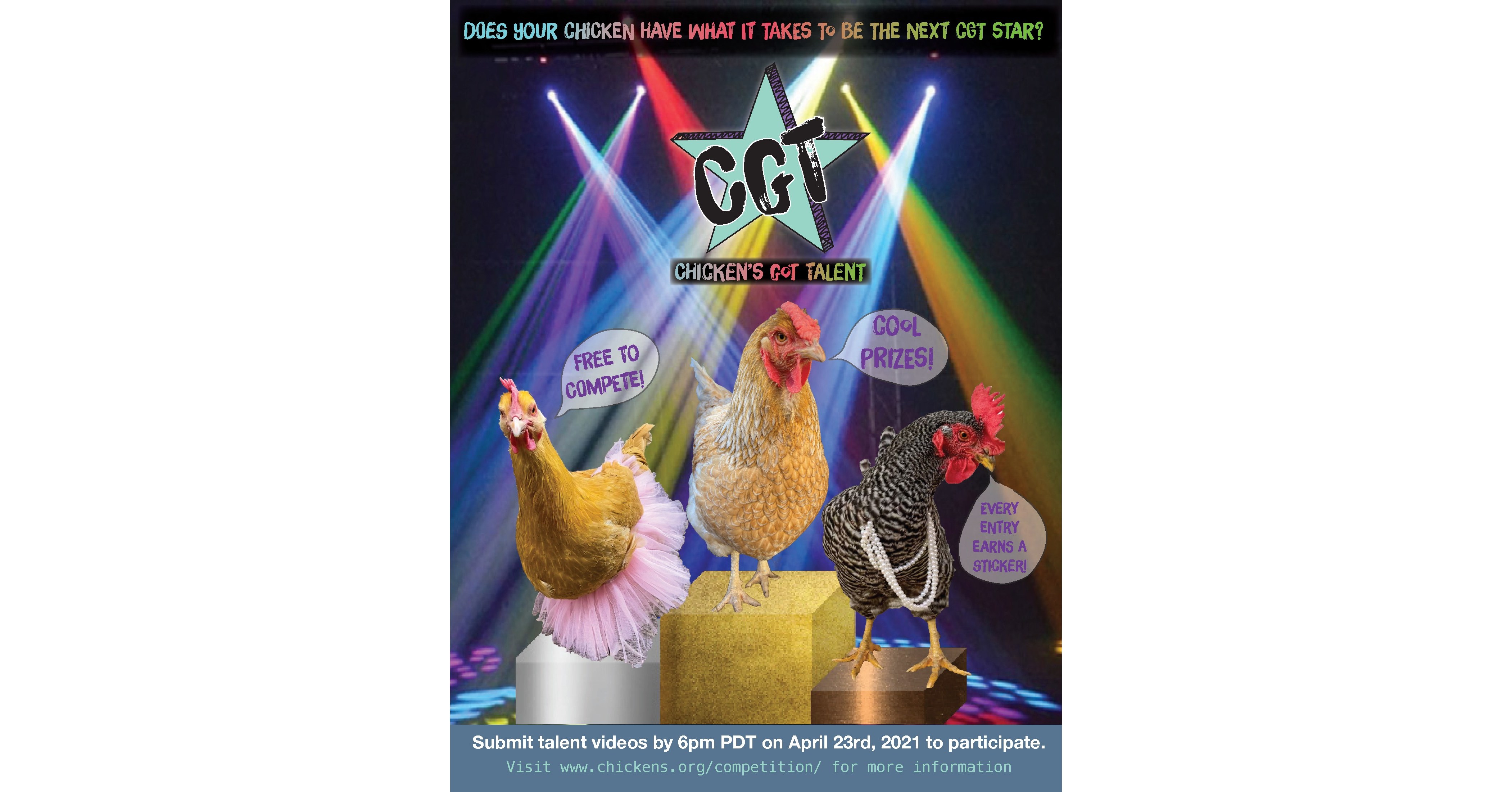 Performing Chickens Invited to Chicken's Got Talent Online Talent Show ...