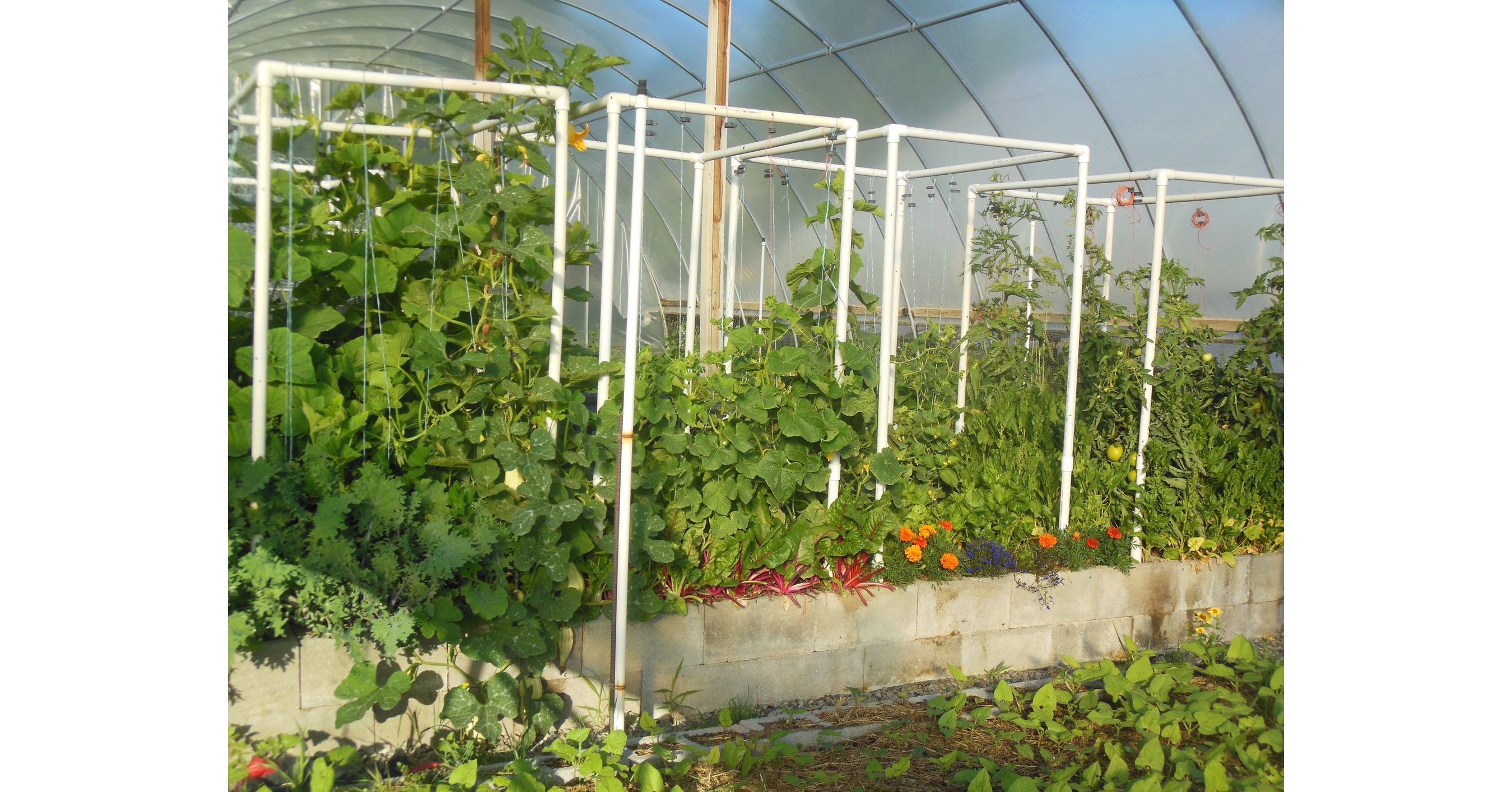 Growing the Gift of Connection - 'High Performance Garden Show' Focuses ...