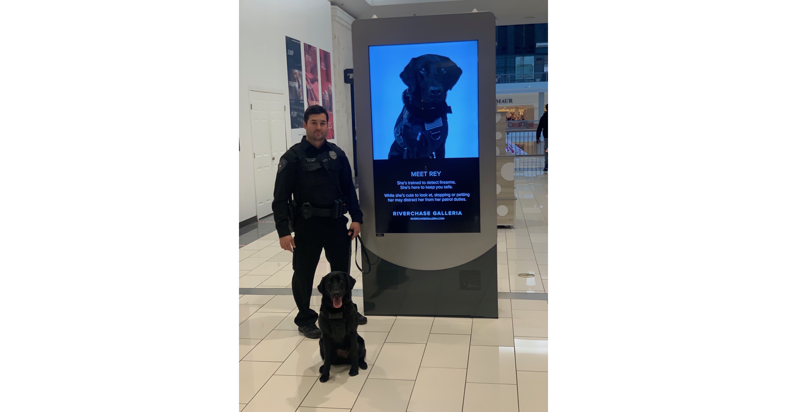 Protecting Public Spaces from Active Shooters with Canine Detection