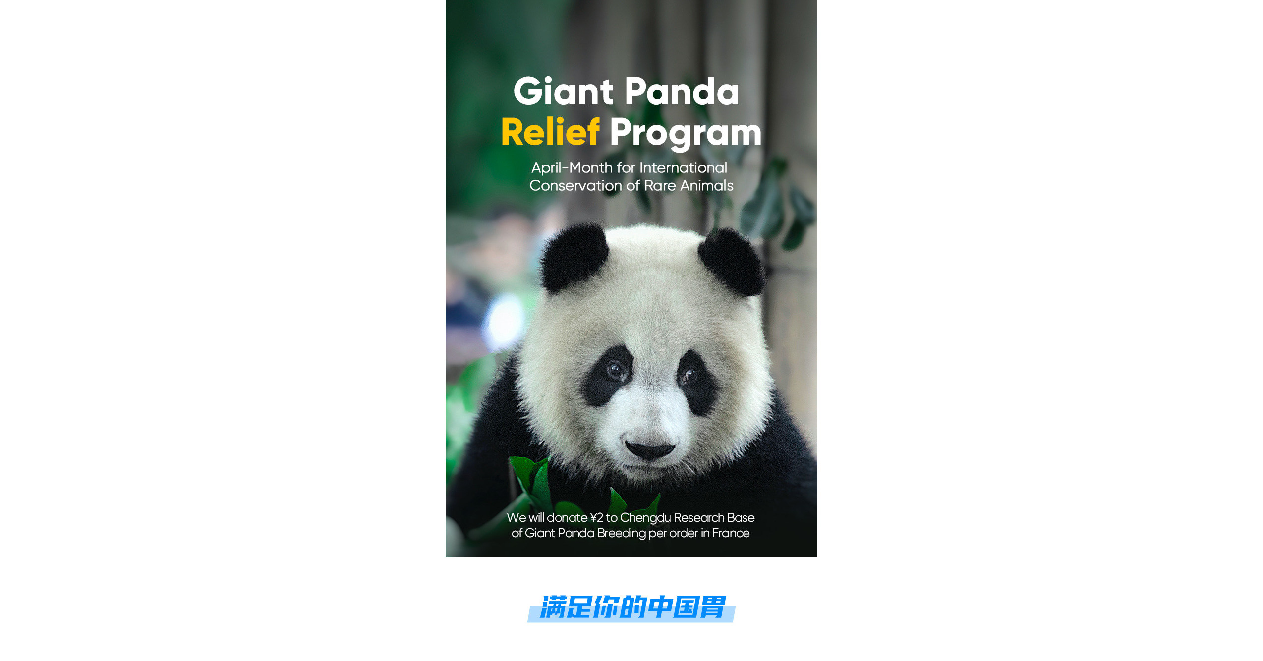 Facilitating the Research of Giant Panda Breeding, HungryPanda ...