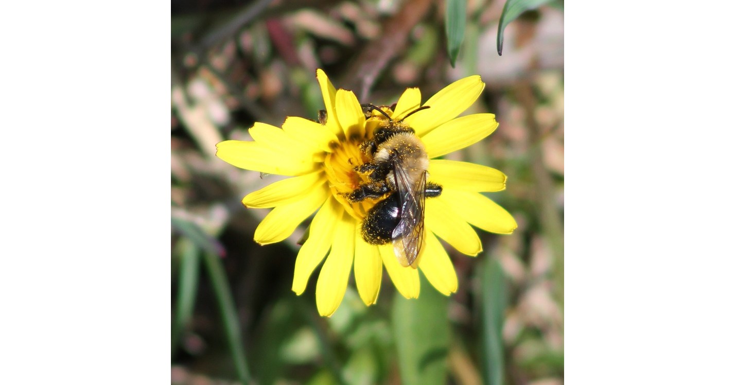 Diverse Group of Agriculture, Conservation and Natural Resource ...