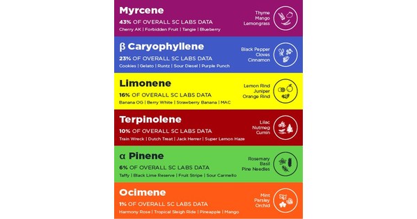 The Emerald Cup 2021 and SC Labs Partner on New Data Driven Approach to ...