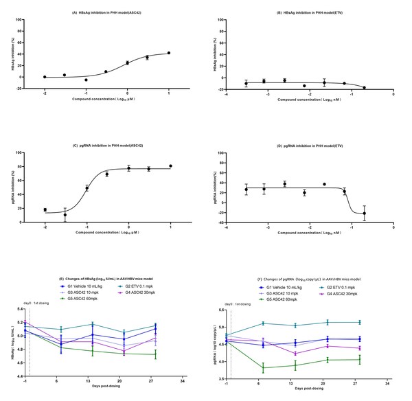 Ascletis Announced Four Clinical and Preclinical Study Abstracts of ...